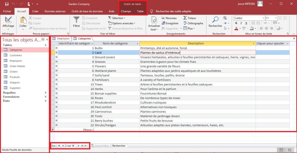 Utilisation de l'interface utilisateur Access