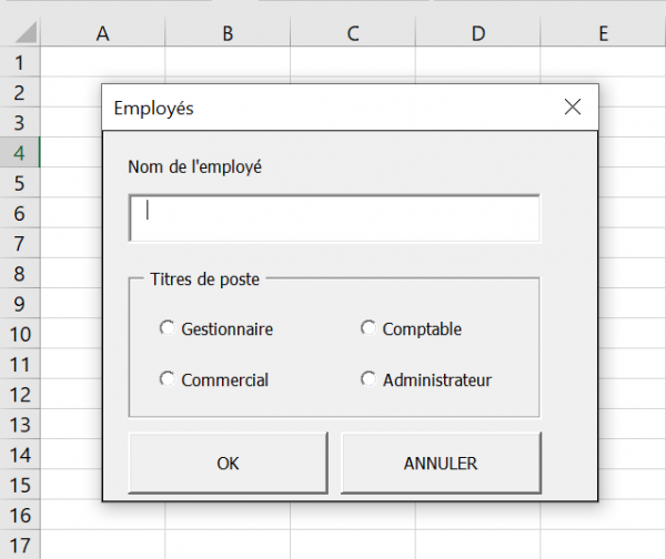 Affichage d'un formulaire personnalisé ou UserForm, Excel VBA