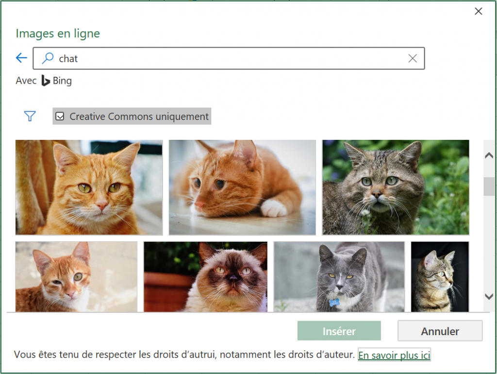Comment insérer des images dans Excel